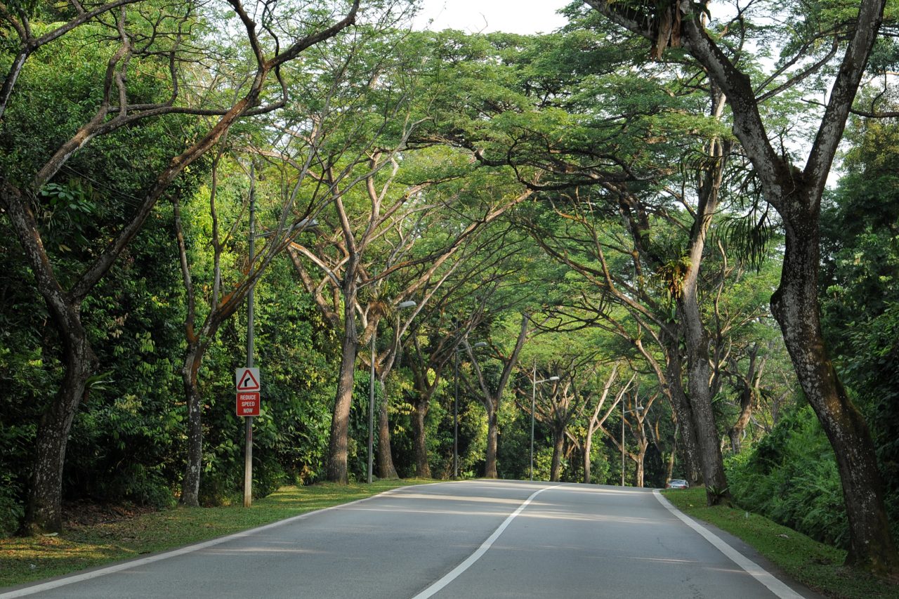 13 Interesting Roads in Singapore and their Backstories